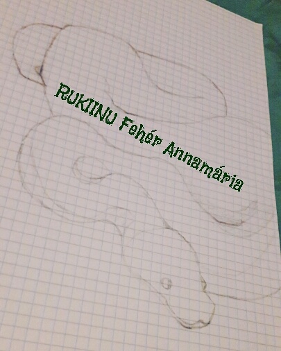 RUKIINU Art: Albino piton art albino piton drawing albino piton rajz ...