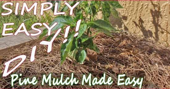 Simply Easy DIY: DIY Pine Mulch - Mulch Your Way to a Better Garden