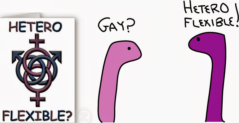 estados sicologicos: la heteroflexibilidad