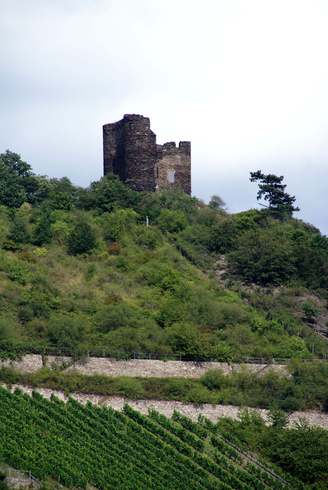 Blue Scream of Jeff: What I did on my summer vacation