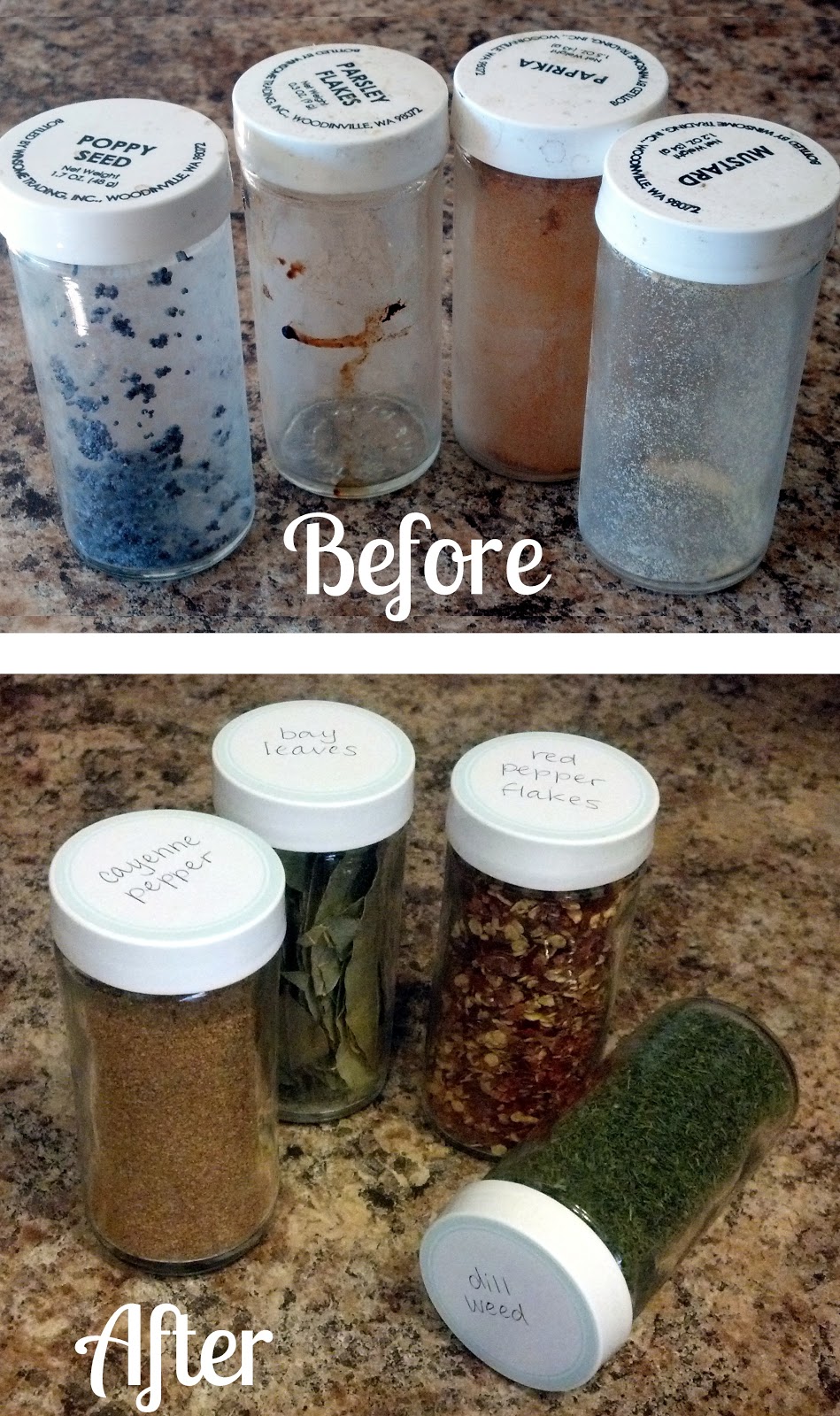 From Mizzou to Missoula: Spice Up Your Life