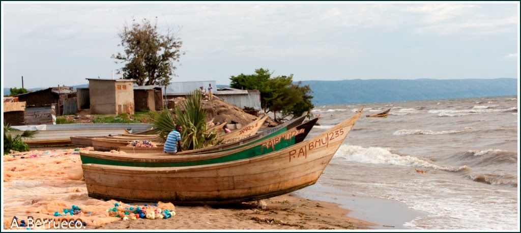 SIBISNUS: UGANDA: BUTIABA (LAGO ALBERTO) - RUIGO (KIBELE CRÁTER)