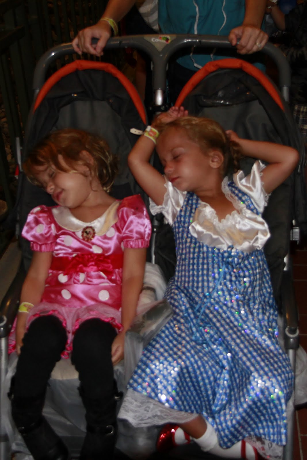 Victoria's Blessings: Magic Kingdom