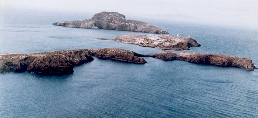 Mar y Montaña (y III). La fauna de las Islas Chafarinas.
