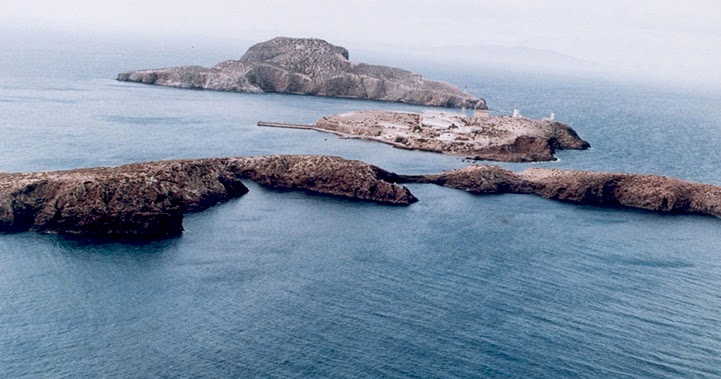 Mar y Montaña (y III). La fauna de las Islas Chafarinas.