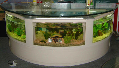 Contoh Aquarium Meja Yang Keren Unik dan Menarik - Dunia Akuarium