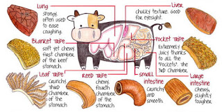 Manfaat Ginjal Sapi Bagi Manusia. ~ Atlantic Spirit