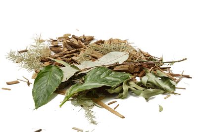 MEMUPUK GAYA HIDUP LESTARI DALAM KAWASAN KAMPUS DAN KEJIRANAN USM: Info ...