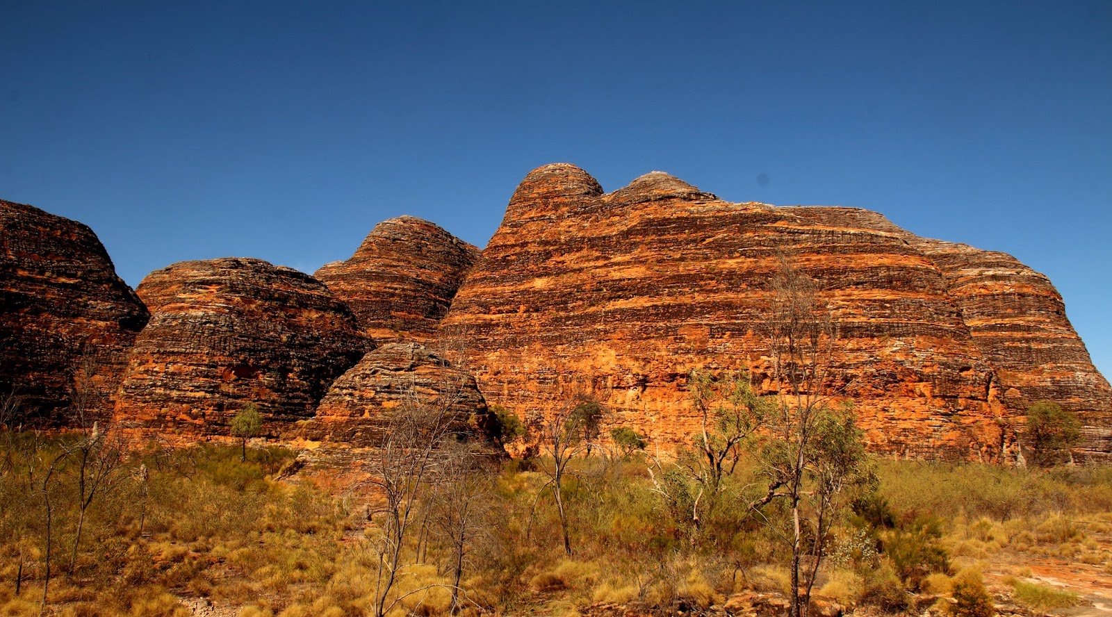 BO629HR: Bungle Bungle