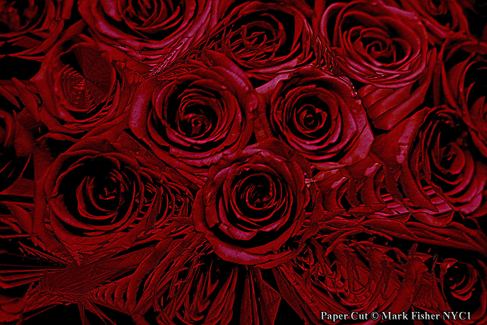 Enlightening Thunder: Paper Cut • American Photographer Mark Fisher ...