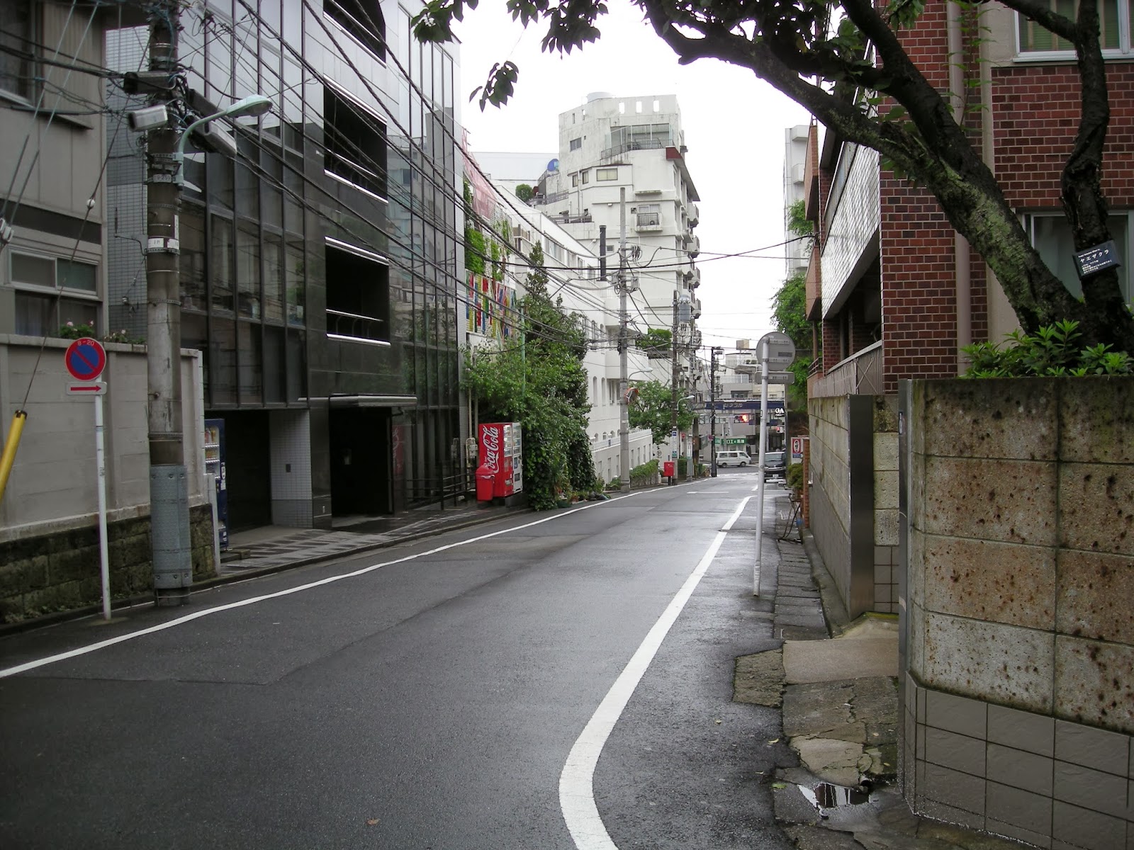 Urban kchoze: Are sidewalks even necessary?