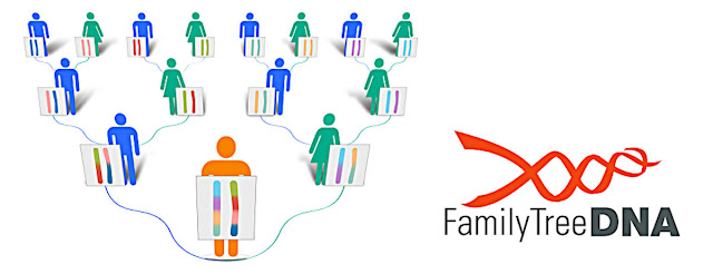 Genetic Genealogy Ireland