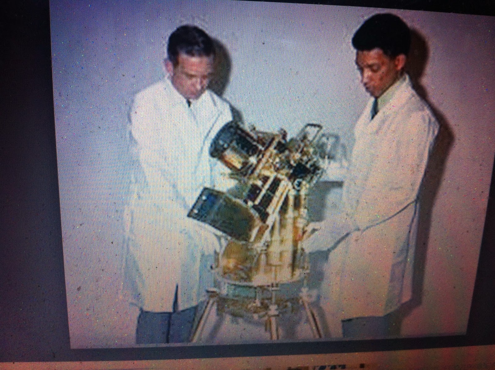 THE BLACK SOCIAL HISTORY:: BLACK SOCIAL HISTORY : AFRICAN AMERICAN ...