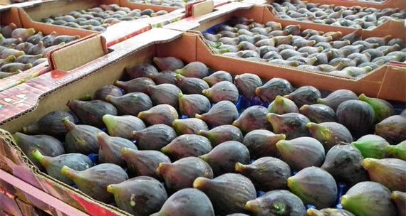 Un pensionato in cucina: Confettura di fichi con frutta secca.