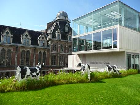 Minha Universidade de Destino - ISA de Lille