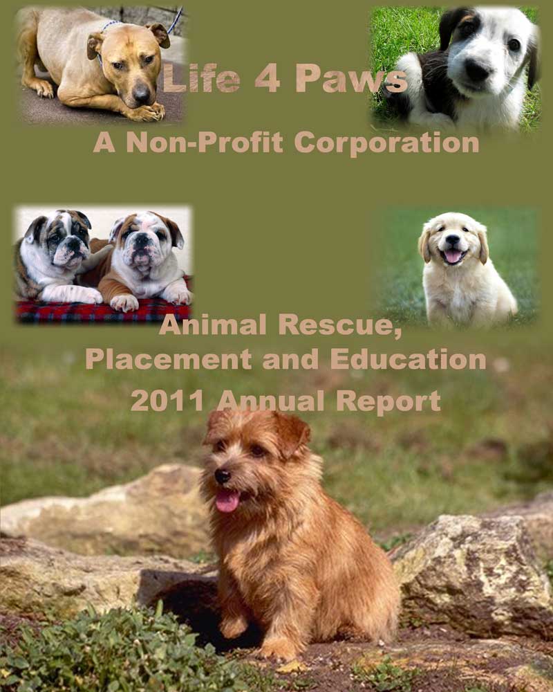 Kevin Rinaldi in Graphic Design: Life 4 Paws