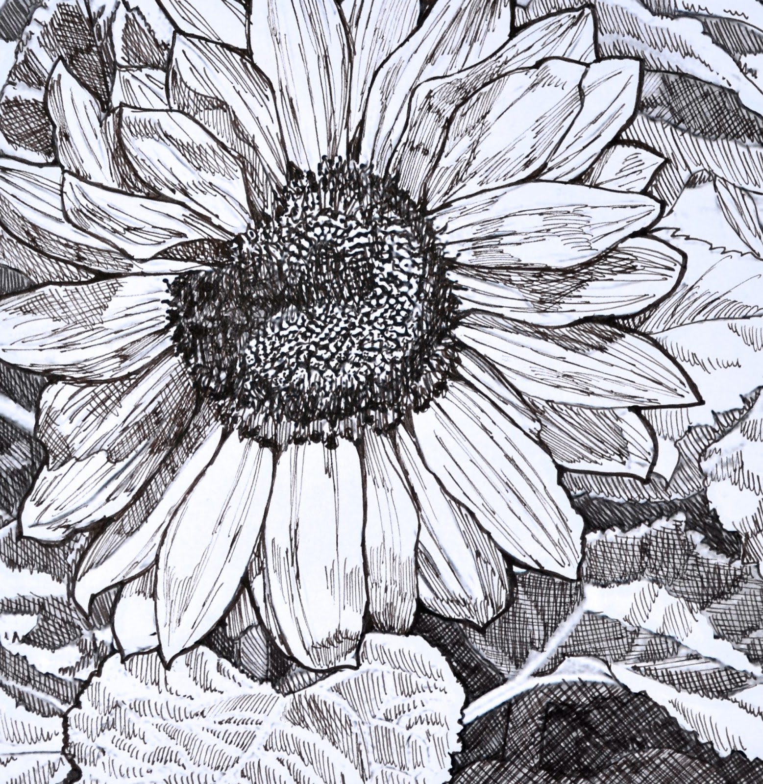 Watercolor Works: Daisy Doings - Pen & Ink