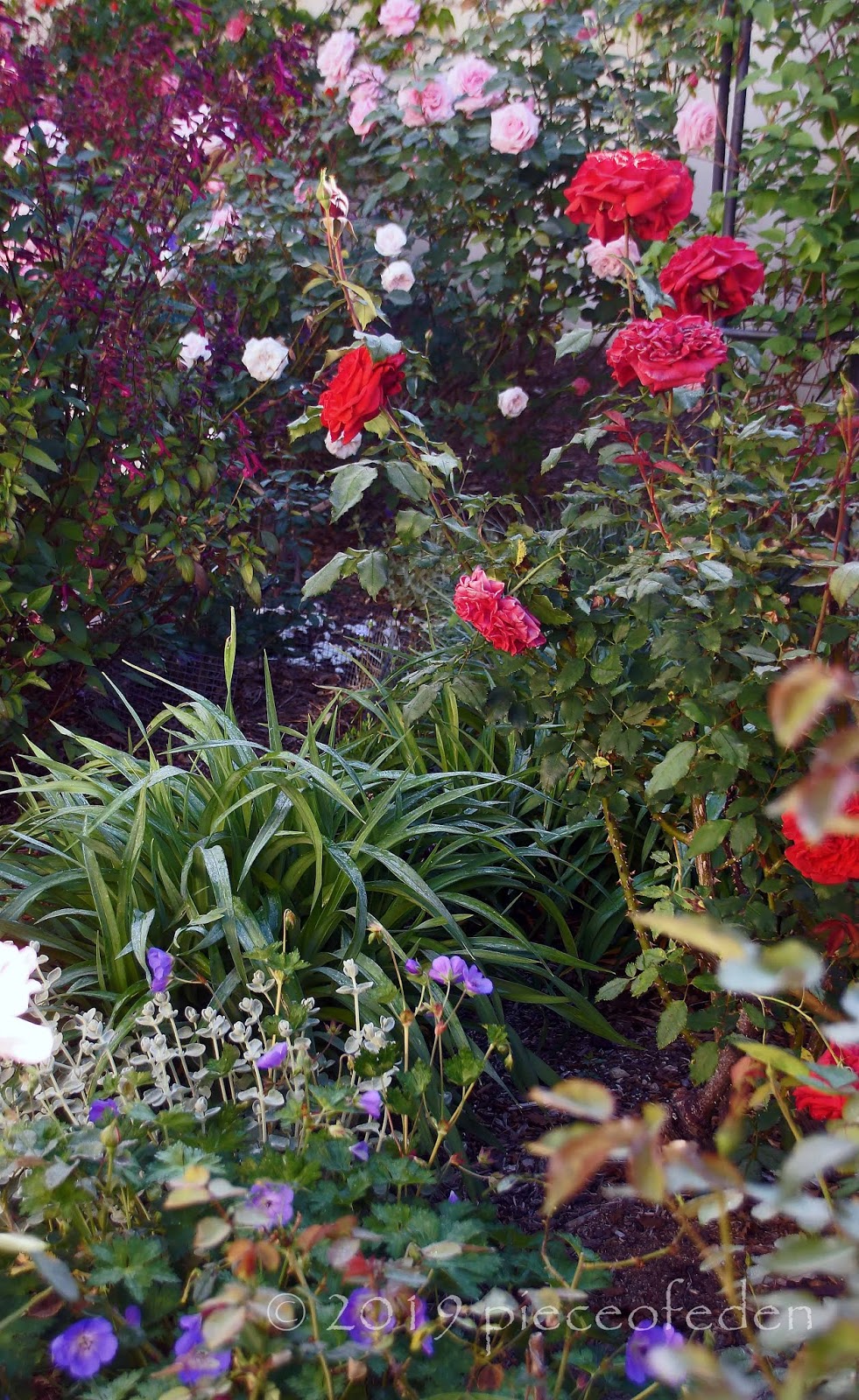 No Showers, Just Flowers