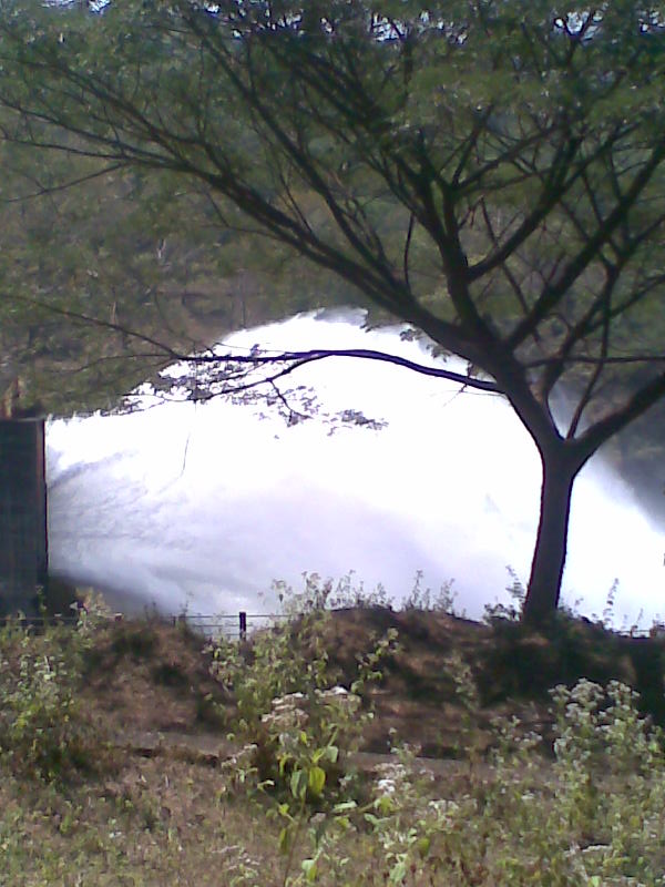 Chimney Dam and Wild Life Sanctuary - TravelHome