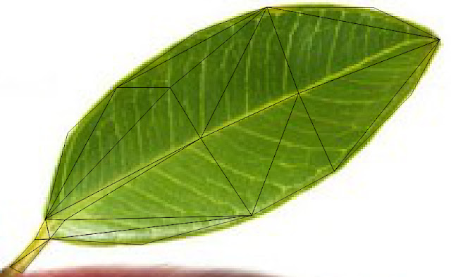 how to create triangulation art in coreldraw - graphicRP