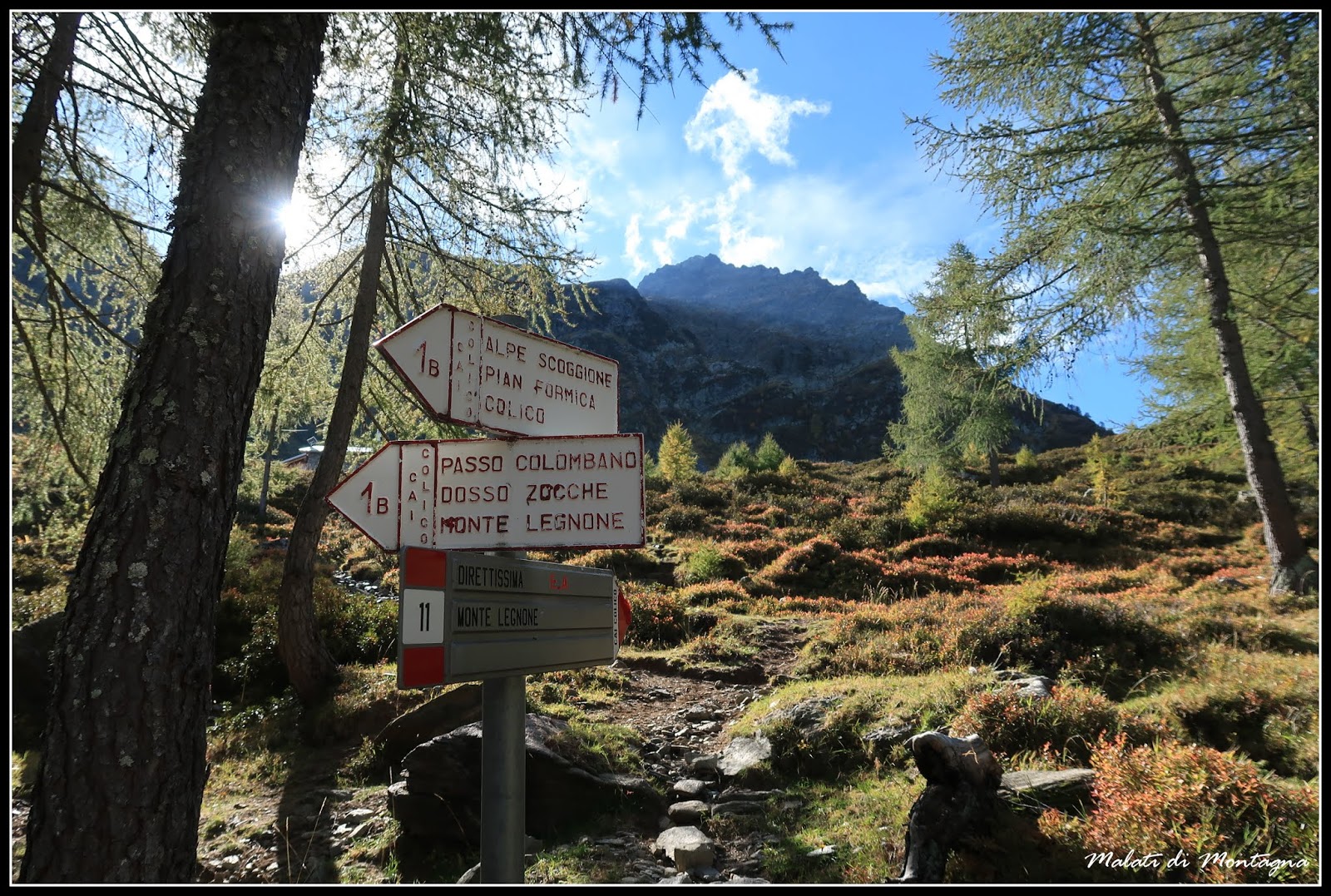 Malati di Montagna: Monte Scoggione, sul versante nord del Legnone