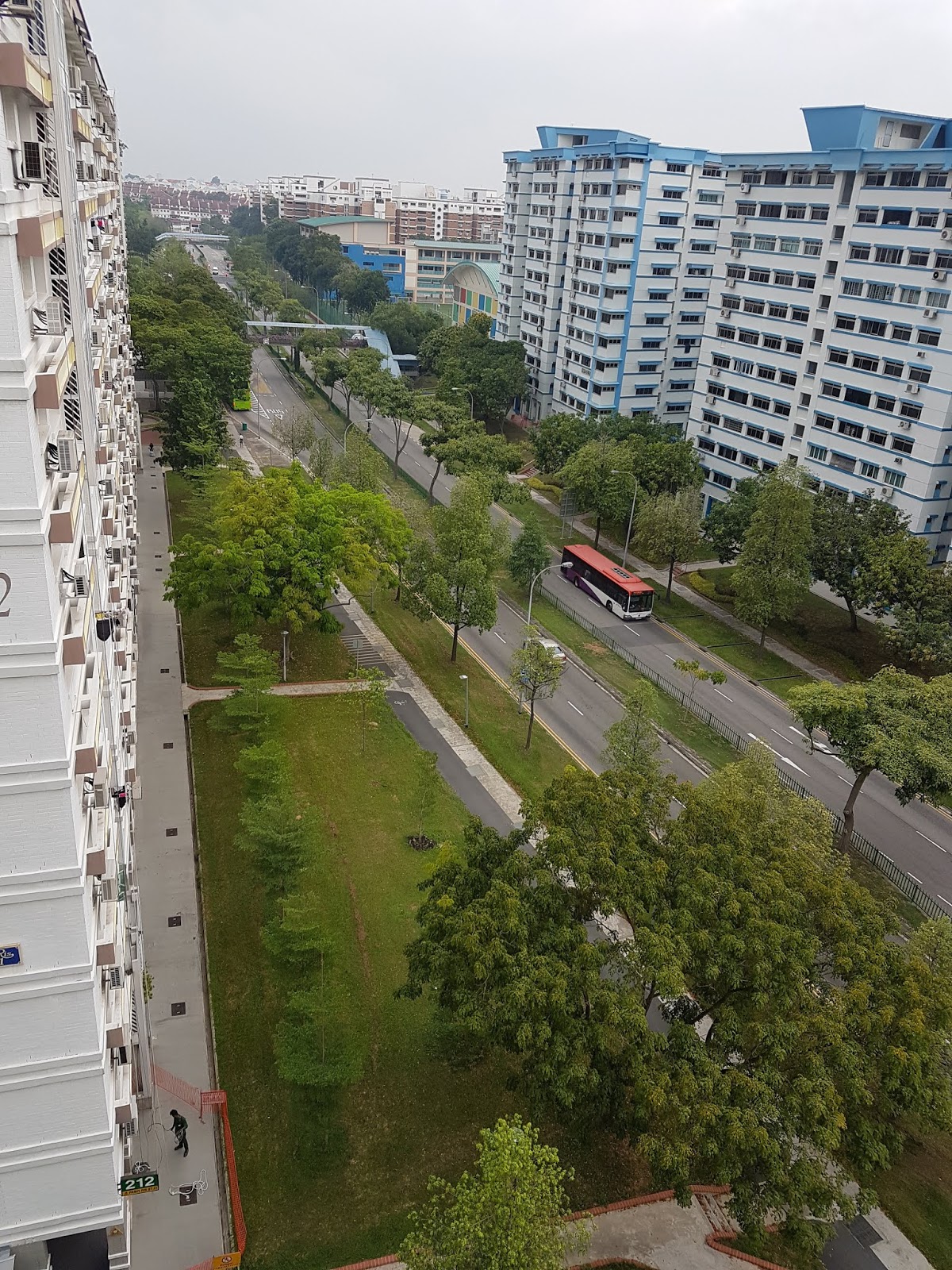 Cross Island Line Construction: Pre-construction - Pasir Ris East