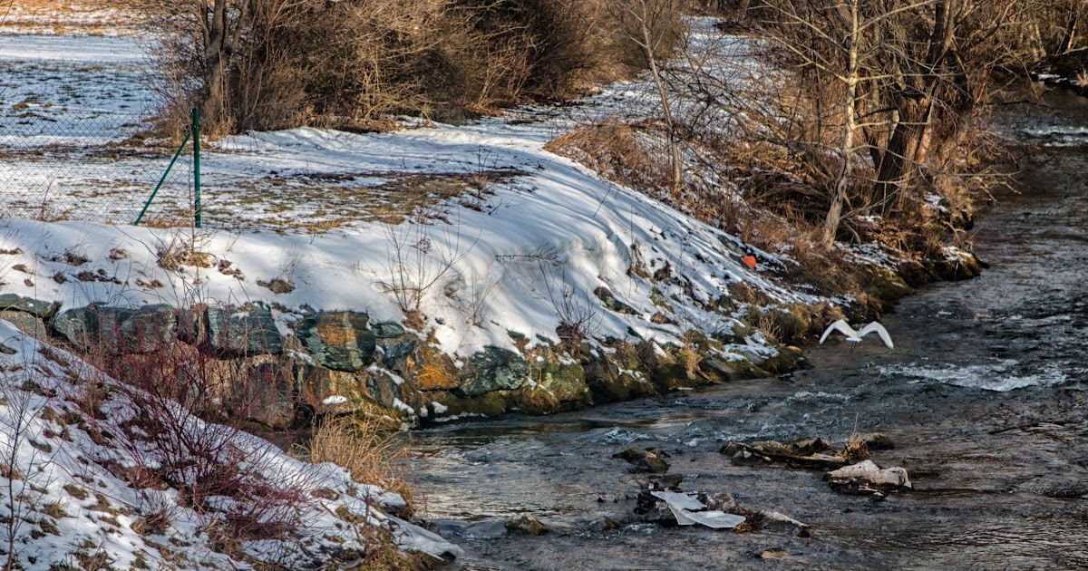 #397: Winterspaziergang bei Sollenau