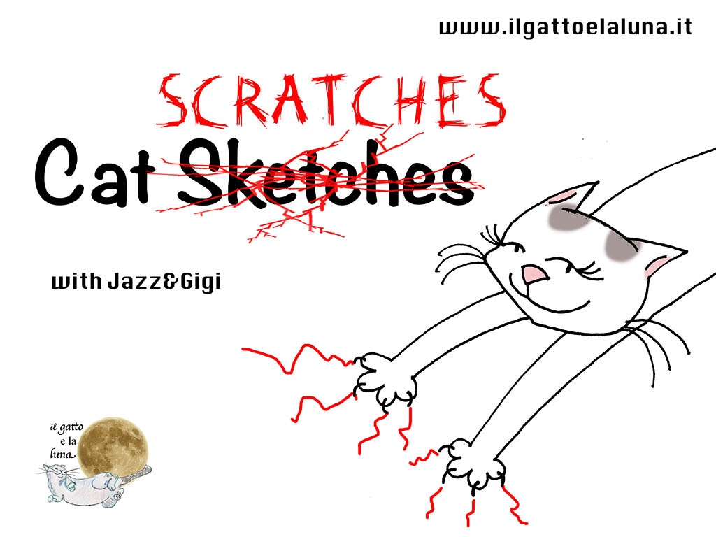 The amazing Jazz&Gigi: Possessive cats