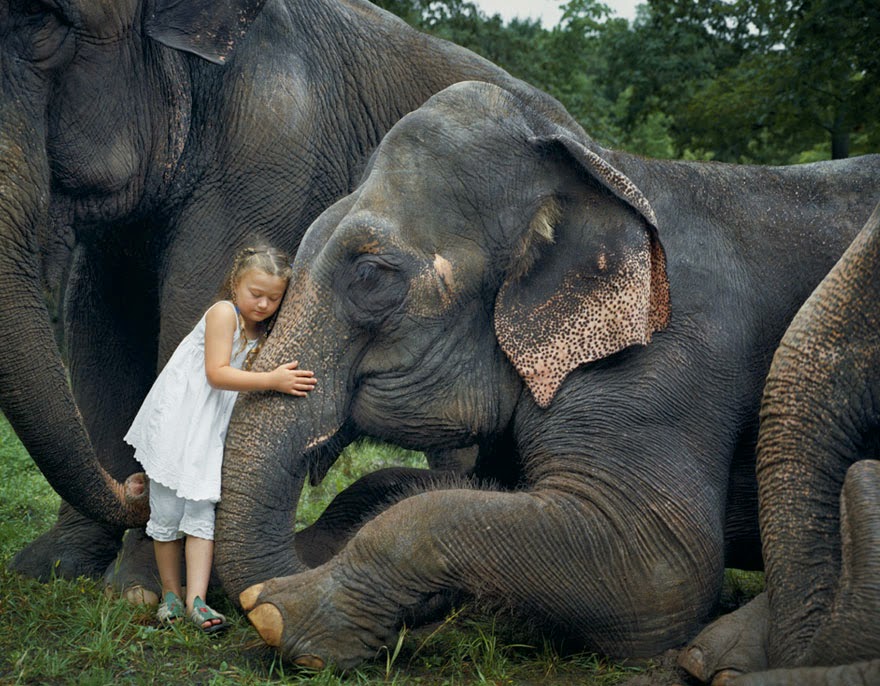White Wolf : Photographer Mom Captures Daughter’s Love For Animals (12 ...