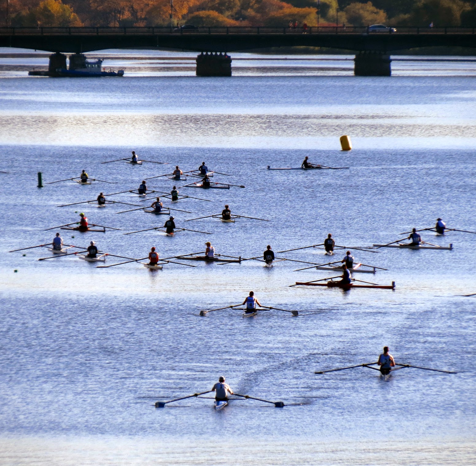 ROWING FOR PLEASURE: 2014