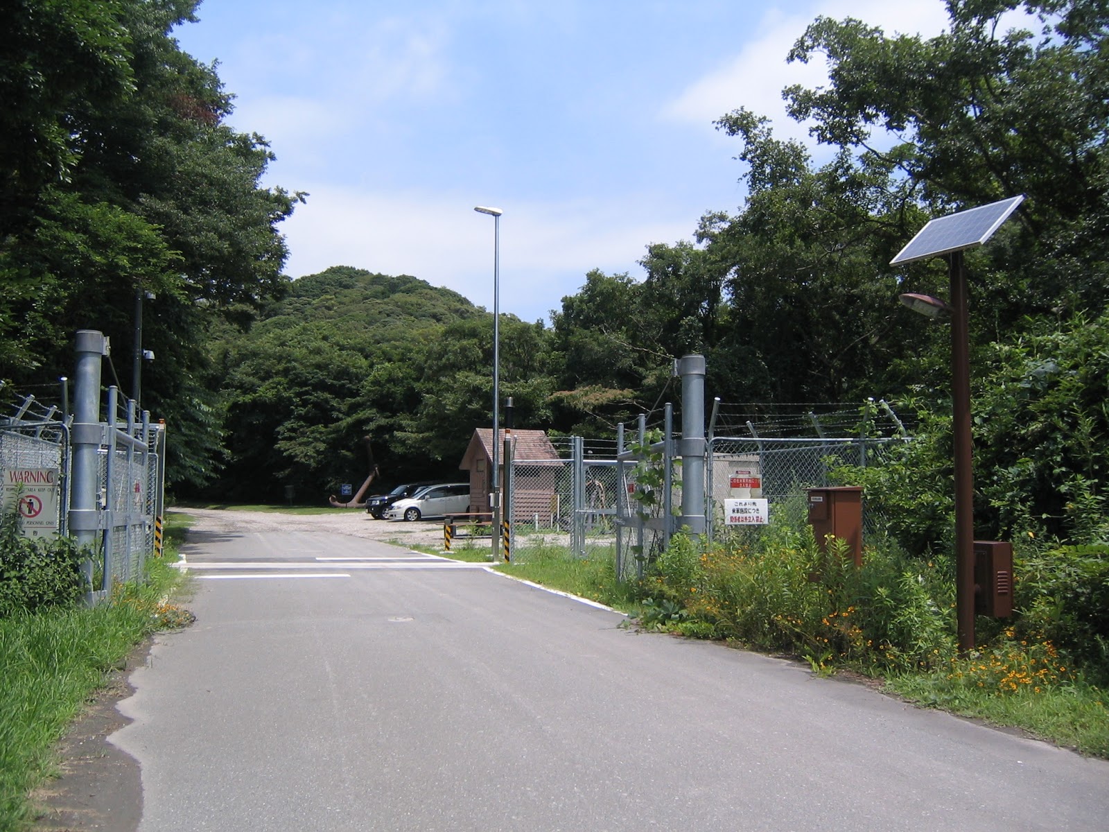 Adventure in Yokohama Citizen Forest: Unintended Consequences: Forest ...