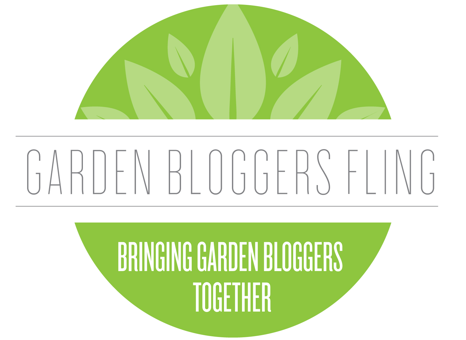 The Queen of Seaford: Garden Bloggers Bloom Day...the Day After
