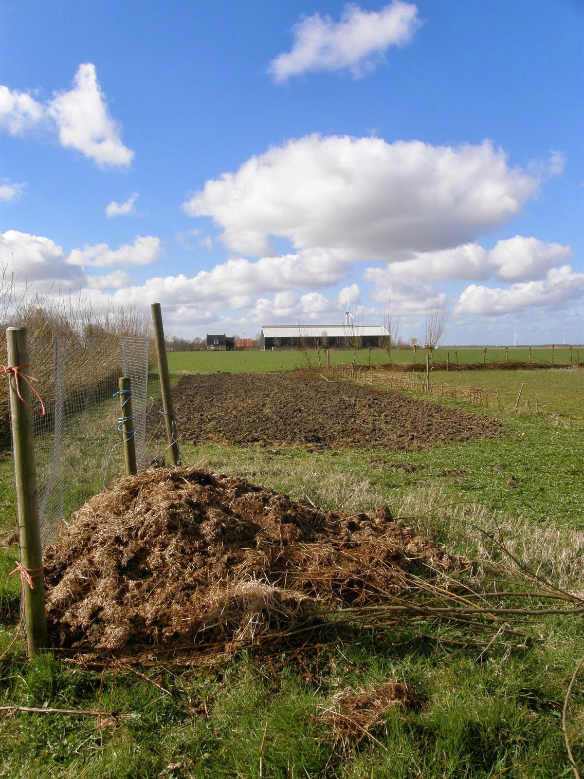 Van Zweedse bodem: maart 2014