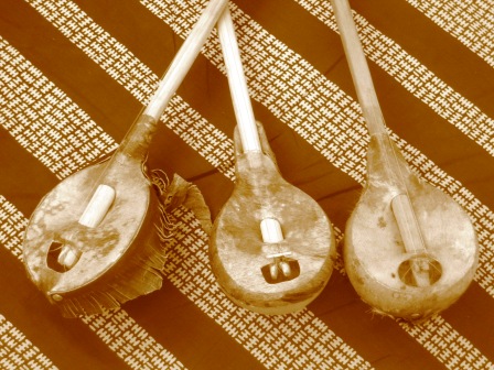 GARAYA DE ALFA BARRY: PRESENTATION DE LA GARAYA, SON ORIGINE