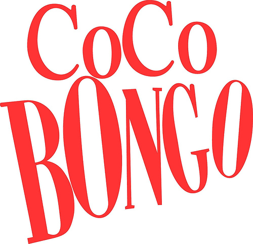 Coco Bongo LTDA