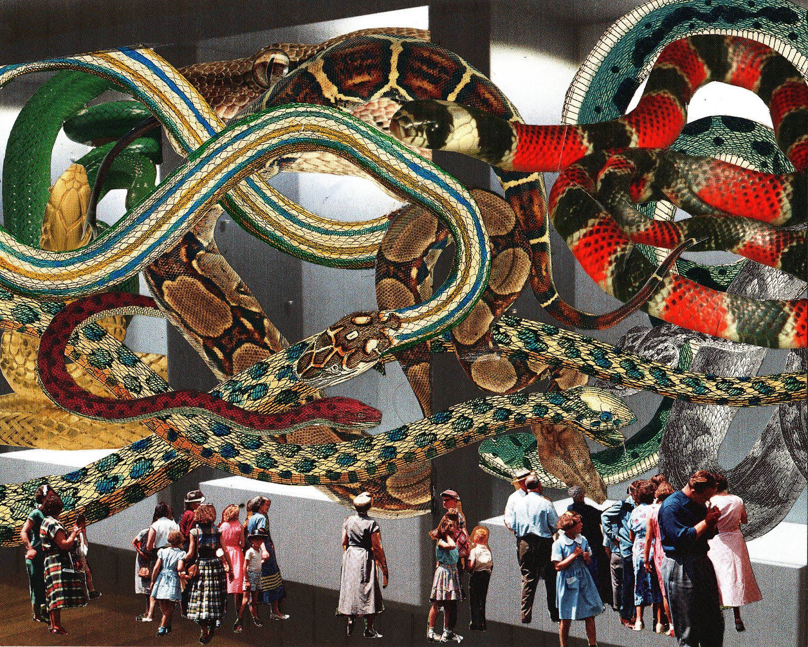 The Kollage Kit: sunday afternoon in the snake museum