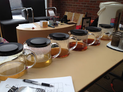 Adventures in Tealand