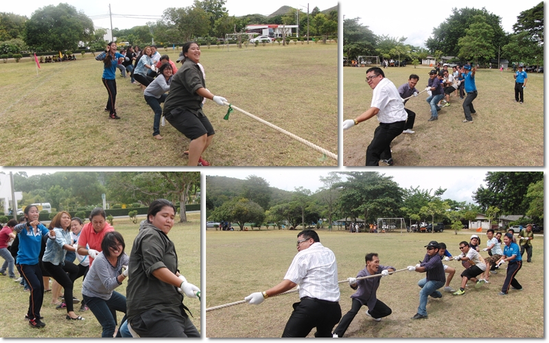 กิจกรรม Walk Rally