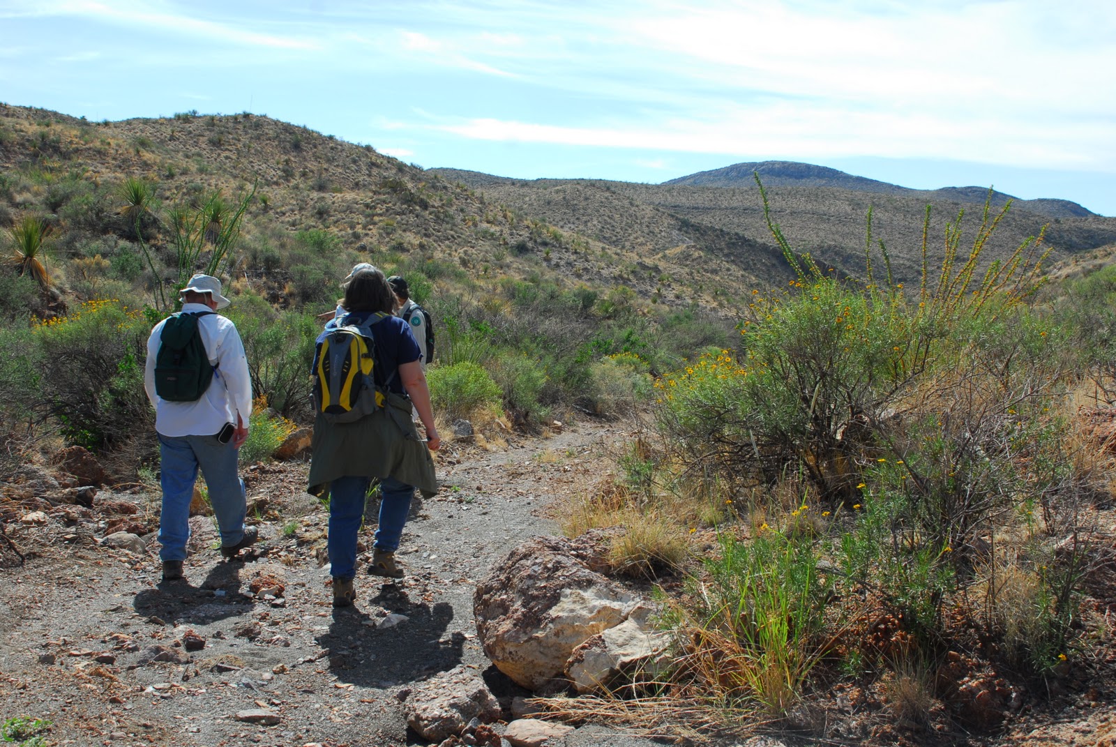 Texas Mountain Trail Daily Photo: Geology Tour of Big Bend Ranch State Park