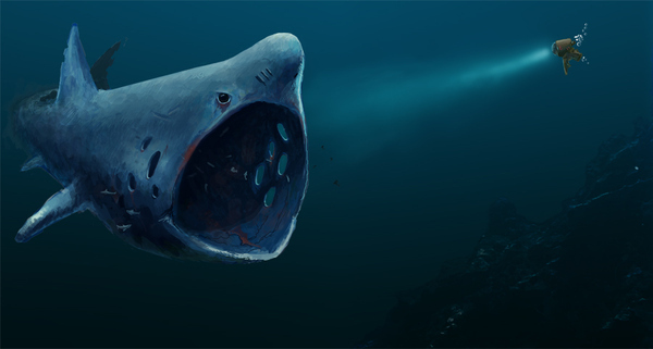 Sinergia Pura!: O medo que vem do mar.