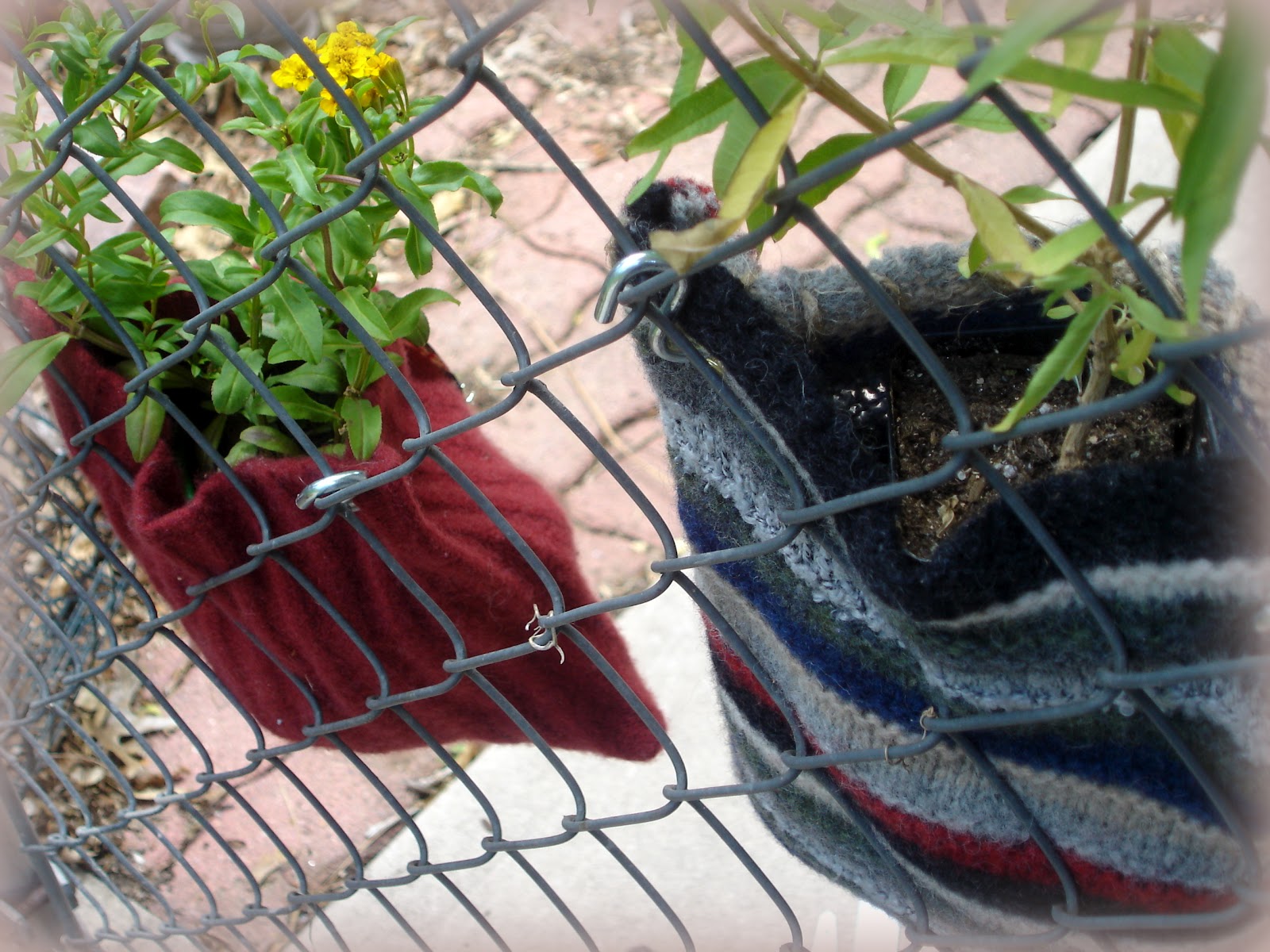 woman with wings: funky plant pockets