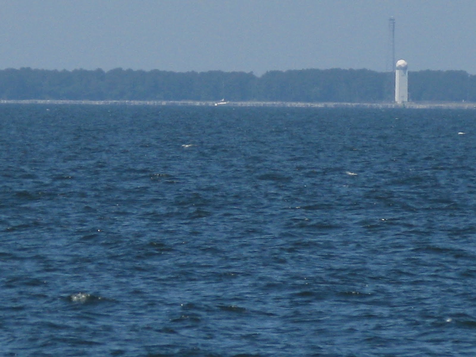 Life with Sweet Pea: Deltaville VA to Solomons Island MD