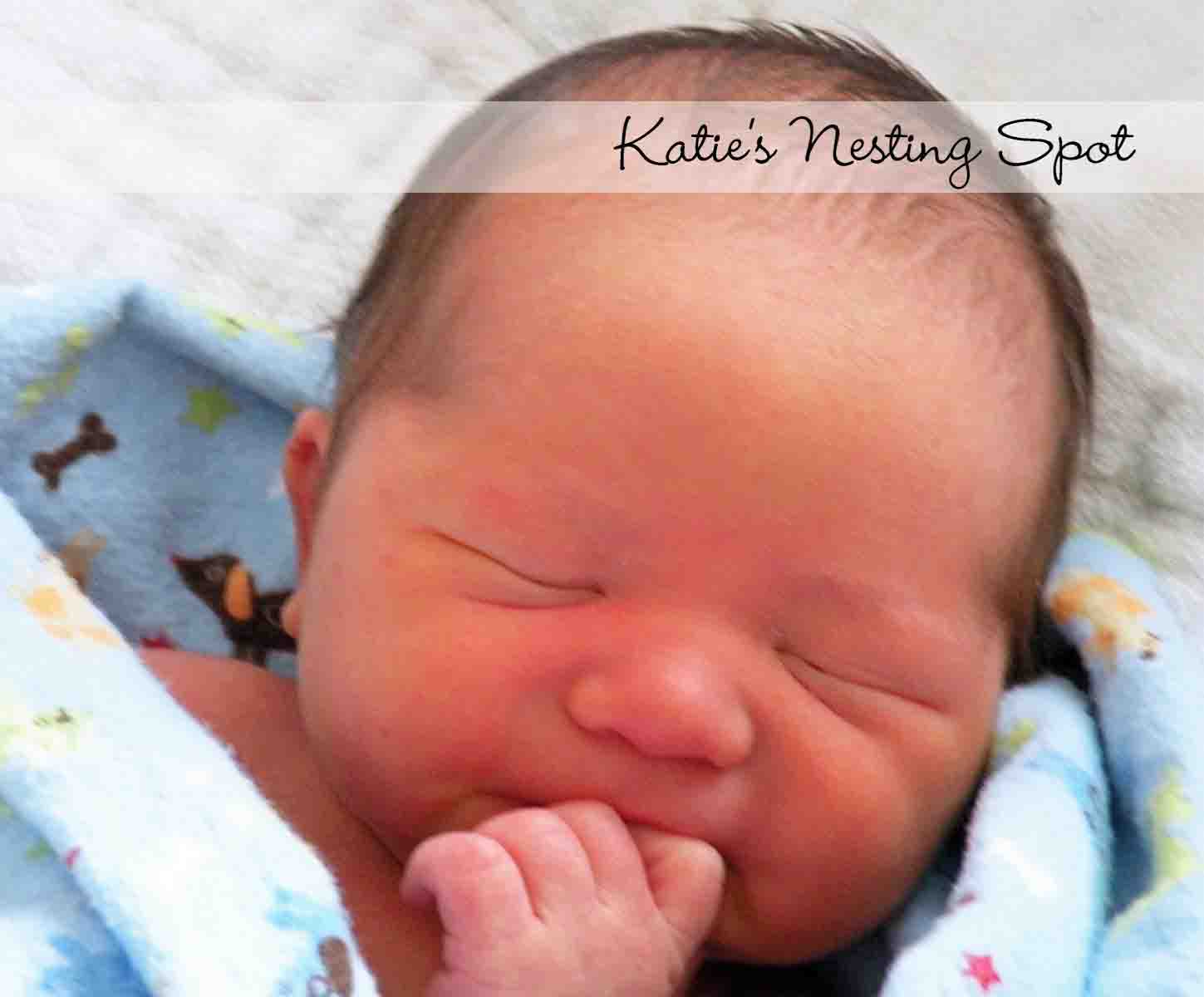 Katie's Nesting Spot: A New Name: Introducing LB