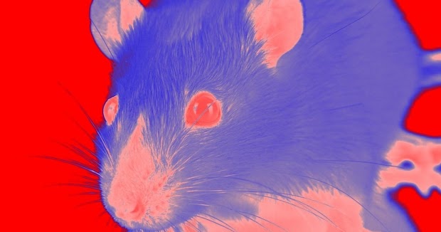 Cerebro Positrónico