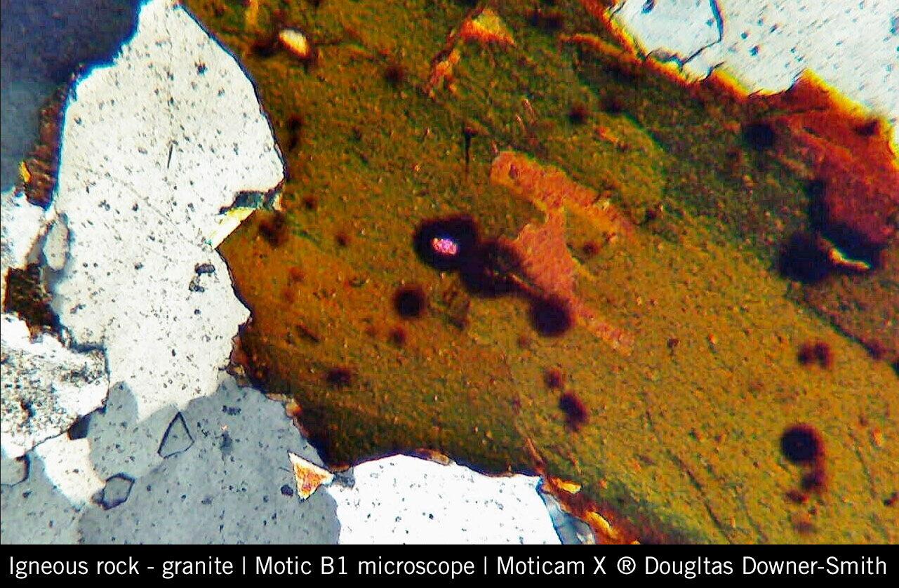 Biotite Microscope
