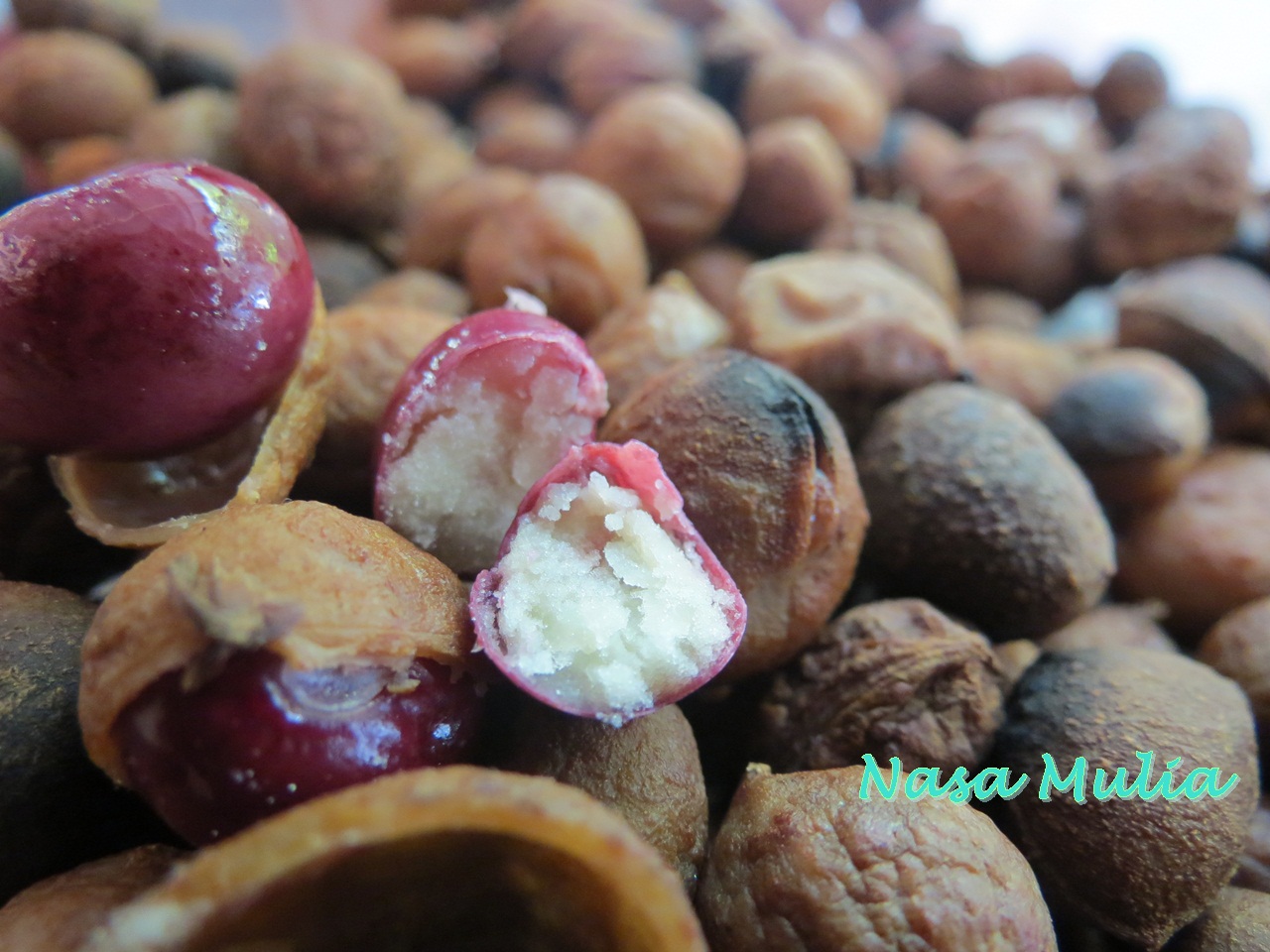 warna warni hidupku..............: Kacang Pui...