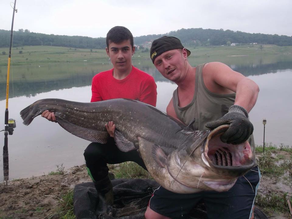 FOTO și VIDEO: Pește uriaș, de 32 de kilograme, capturat la Barajul ...