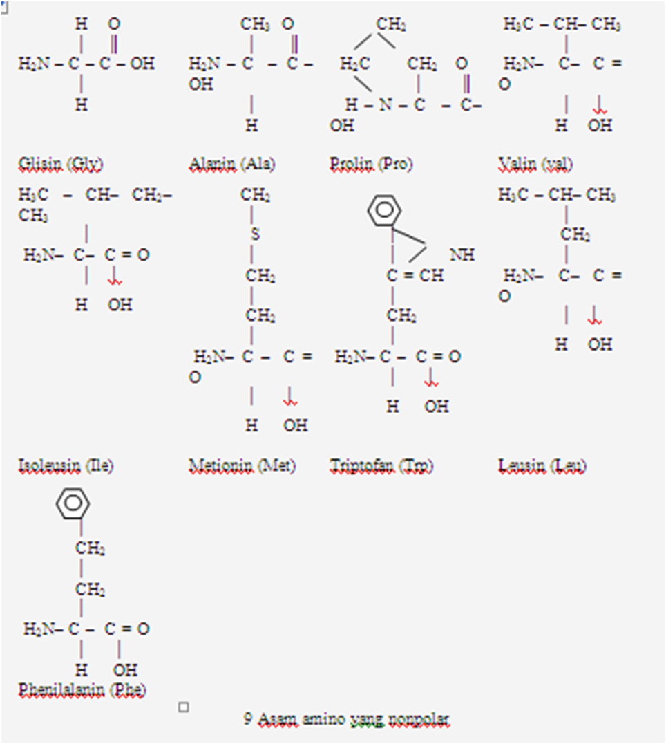 Praktikum Biokimia-Reaksi Uji Asam Amino dan Protein - AwaliHarimu