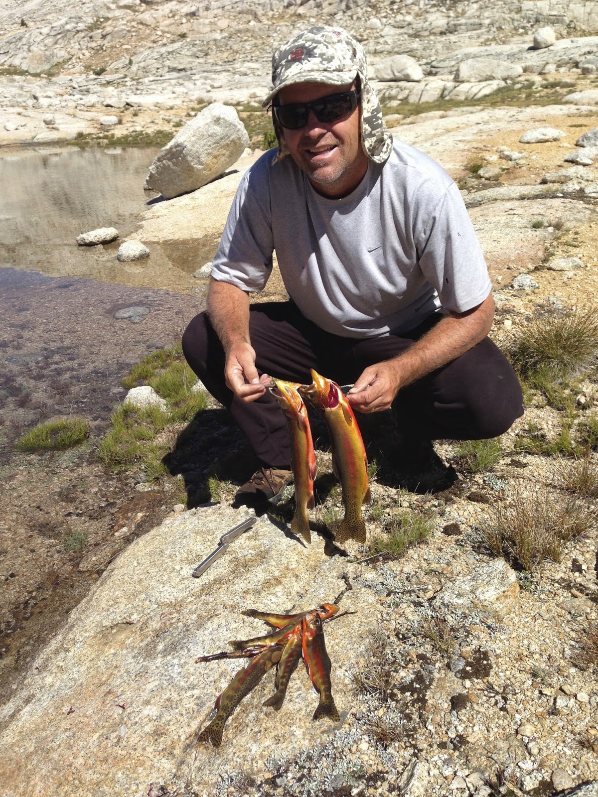 The Fish Sniffer: Golden Trout-2014 Southern Sierras