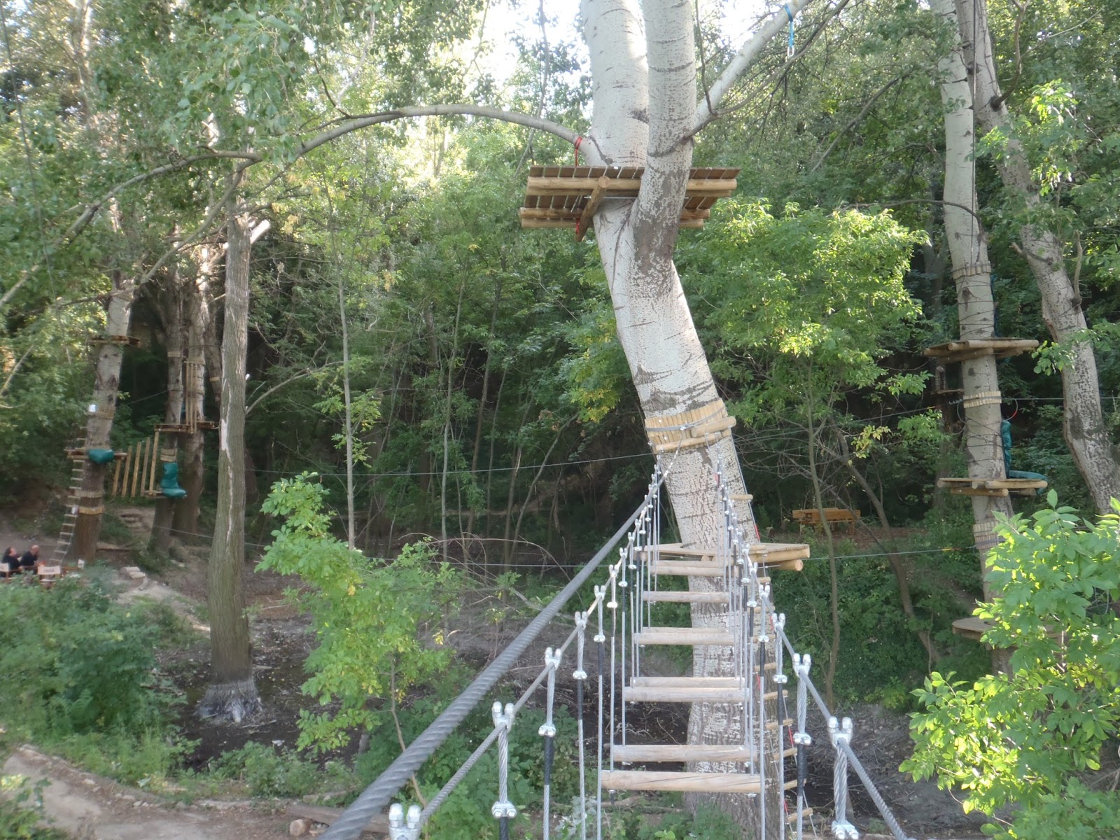 Kirándulóutak Magyarországon : Kalandsziget Tihany kalandpark